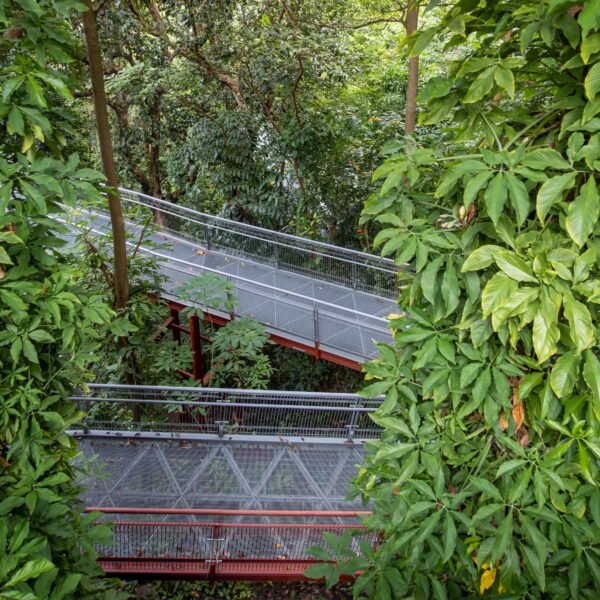 Walk down the Southern Ridges - KiddoTrip